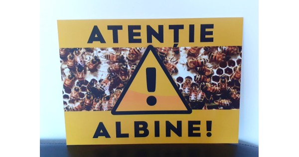 Panou de avertizare Atentie albine! 30 x 42 cm